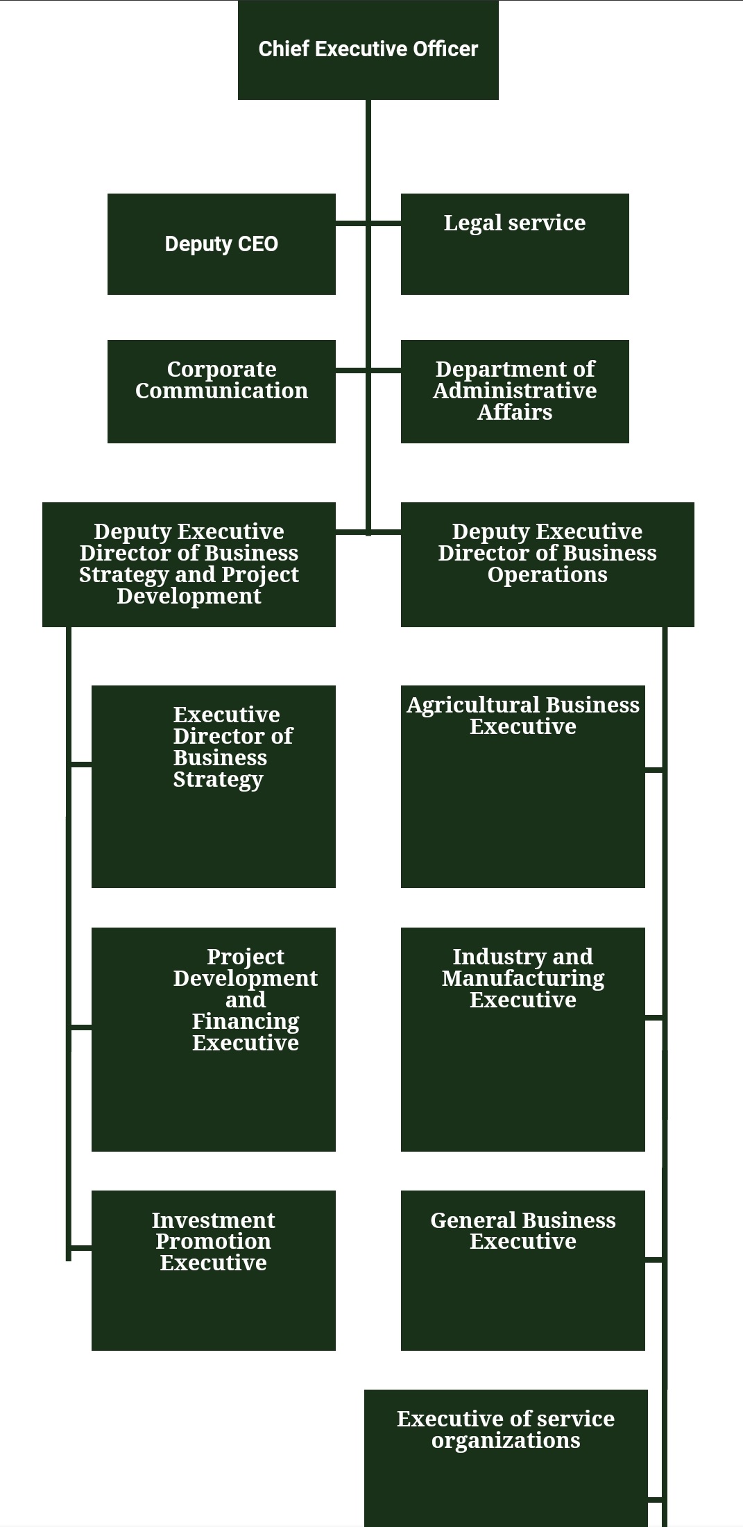 Organizational Structure - BDA